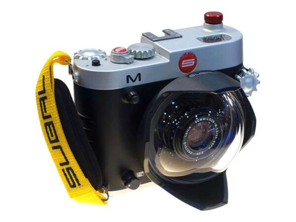 SUBAL NZ - Blue Ocean Thailand