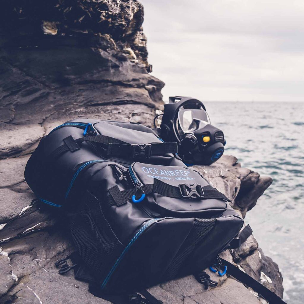 Ocean Reef Fullface mask